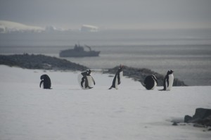 Armada e Inach contribuyen a descifrar el origen del Continente ...