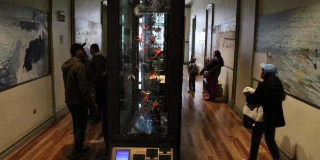 Ministerio de las Culturas conmemora el Día Internacional de los Museos ... Ministerio de las Culturas conmemora el Día Internacional de los Museos ...