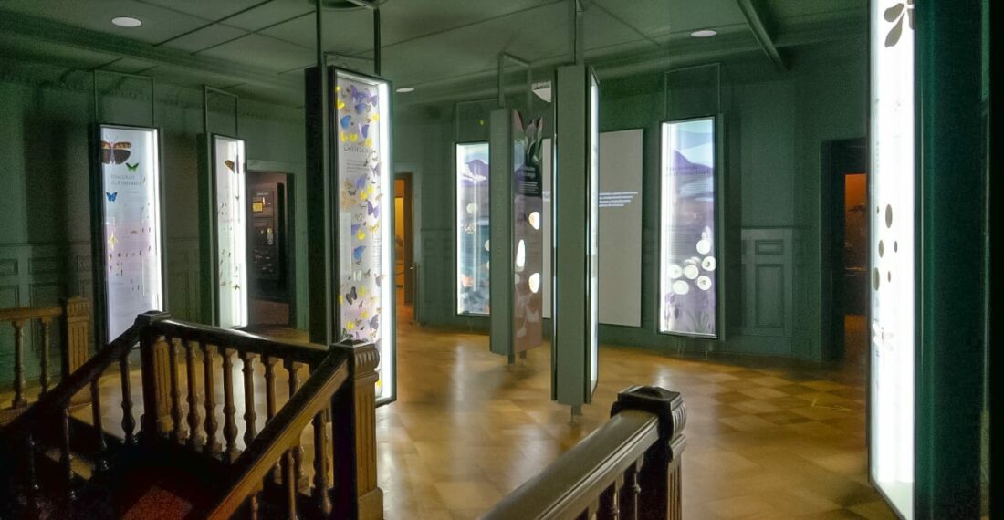 Museo Fonck invita a disfrutar su reapertura los fines de semana en el ...