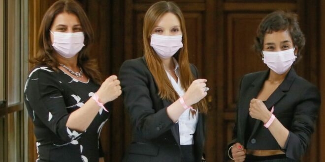 Diputadas De Rn Presentan Proyecto De Ley Para Que Se Incorpore La