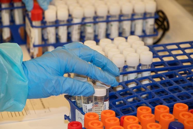 Hospital de Petorca habilita plataforma virtual para que la comunidad ...