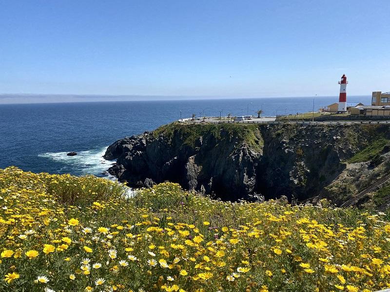 Un recorrido por los miradores y el cementerio de Playa Ancha – Radio ...